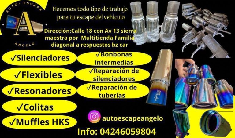 ¡Trio de Reinas! Falcón, Zulia y Apure se llevan las coronas del Miss ...